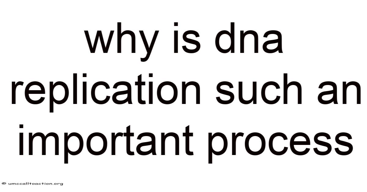 Why Is Dna Replication Such An Important Process
