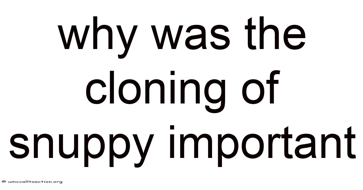 Why Was The Cloning Of Snuppy Important